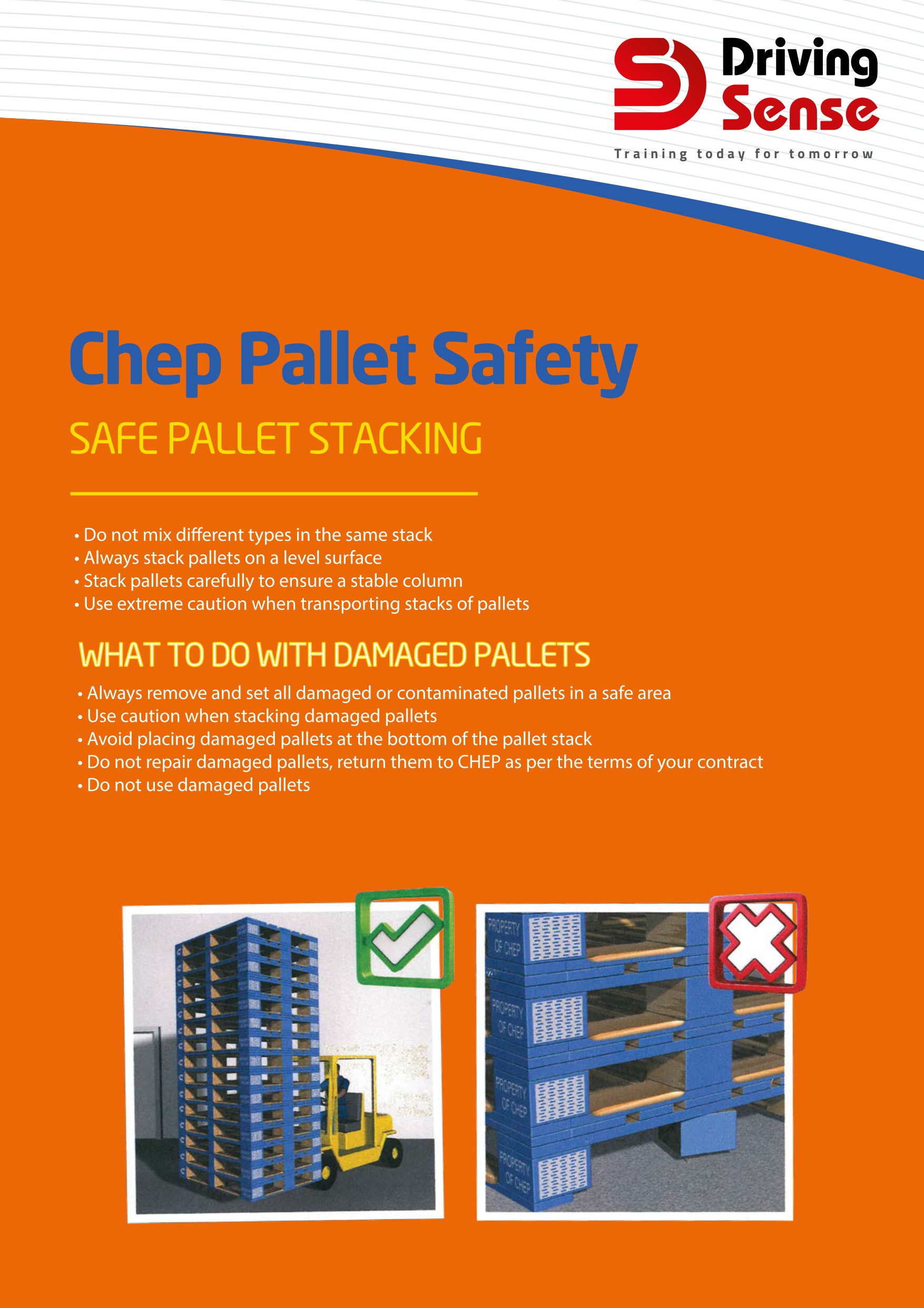 Safety Posters - Driving Sense Training Today For Tomorrow